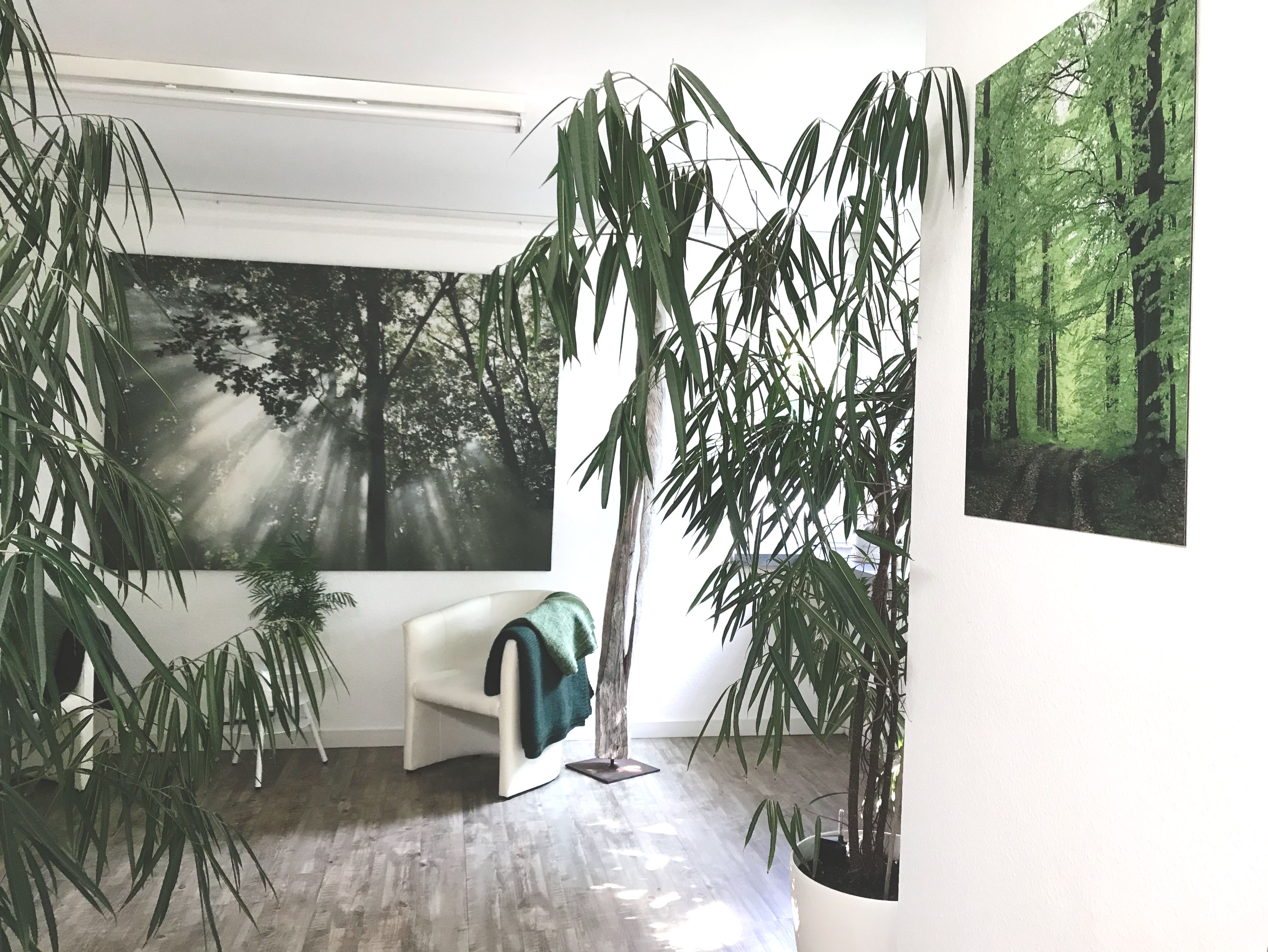 Willkommen | Susanne Reimann B.Sc.